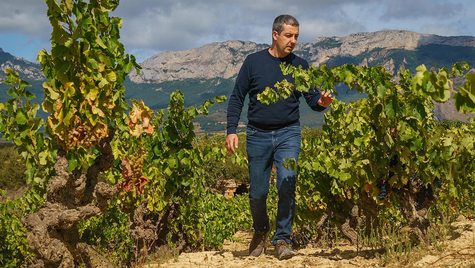 «Es más fácil beber mi vino en Tokio y Nueva York que en Vitoria o Bilbao» | El Correo